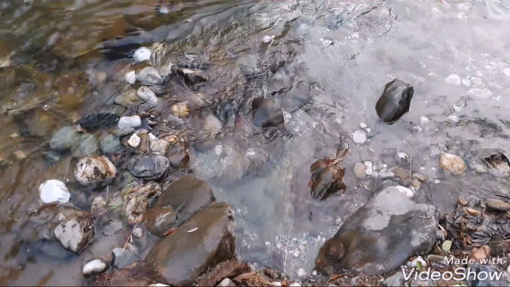 Roseville Rock Rollers Gem and Mineral Society – Roseville Rock Rollers ...